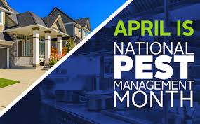 Key Facts You Need to Know About National Pest Management Month